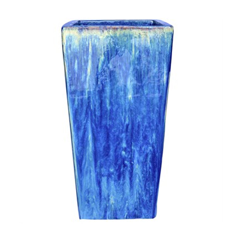 Tall Taper 31" Skyfall – Greenwood Creek Nursery